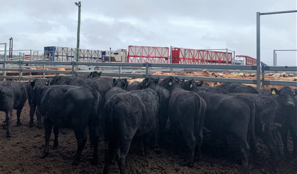 About the Upper Hunter Region - David Carter Property and Livestock