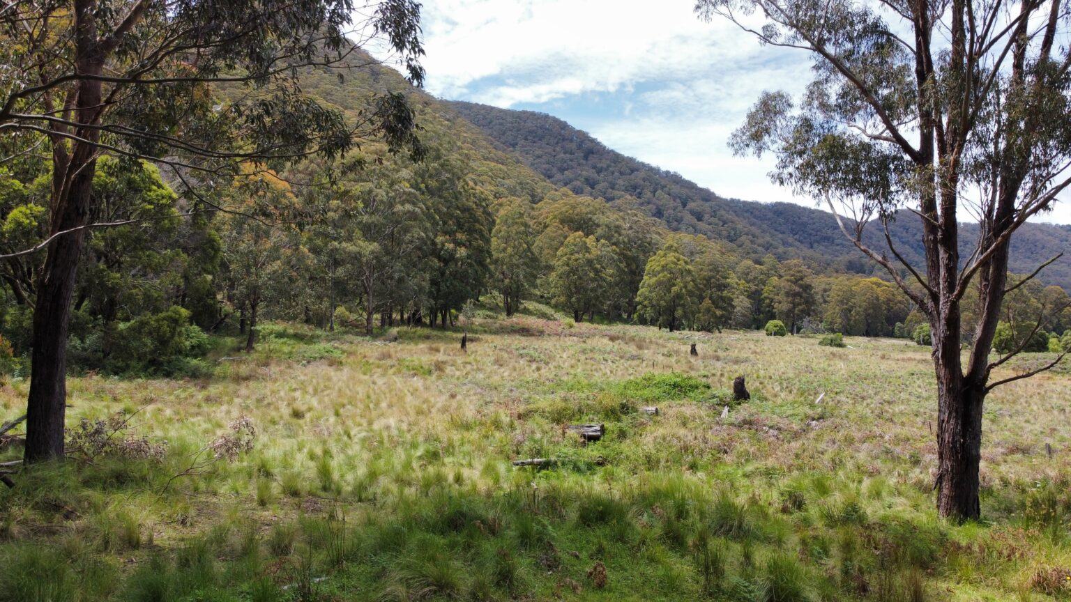 Your Ultimate Rural Retreat, on the doorstep of the Barrington Tops ...